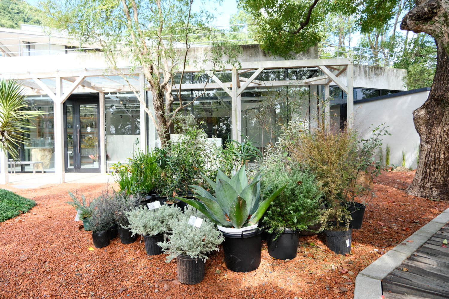 NURSERY - the ROOTs design studio