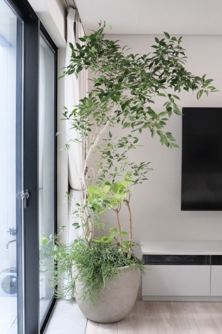 Garden @Okayama - the ROOTs design studio