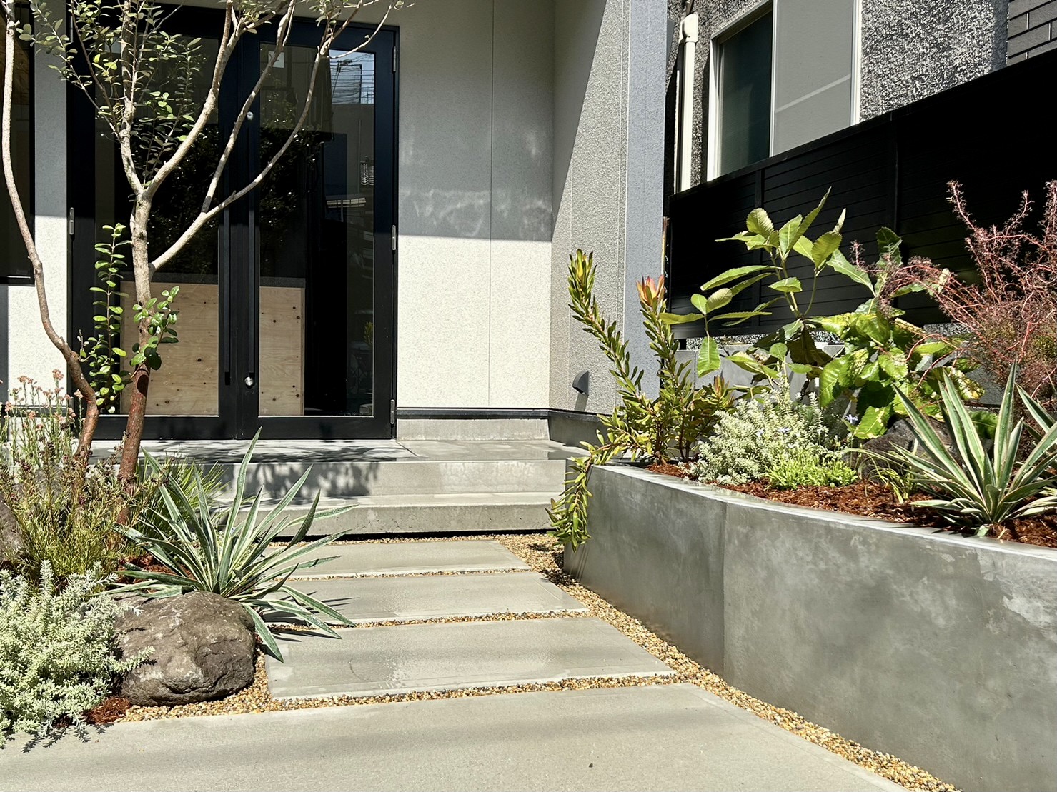 WORKS 八尾市 ワイルドプランツが迎えるエントランス - the ROOTs design studio