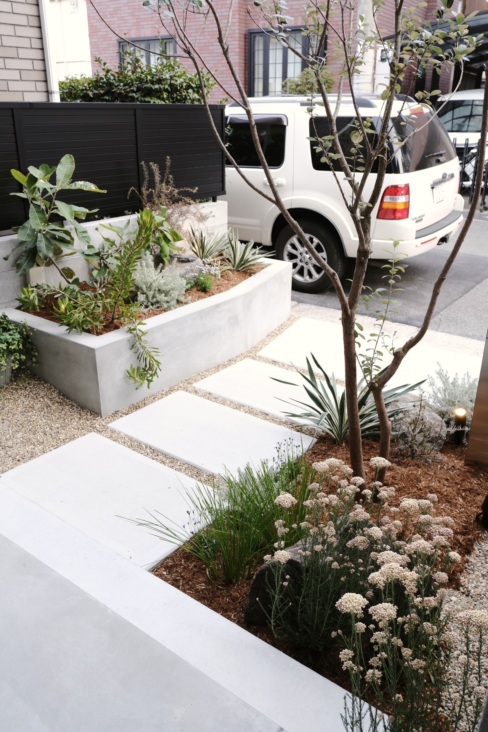 WORKS 八尾市 ワイルドプランツが迎えるエントランス - the ROOTs design studio